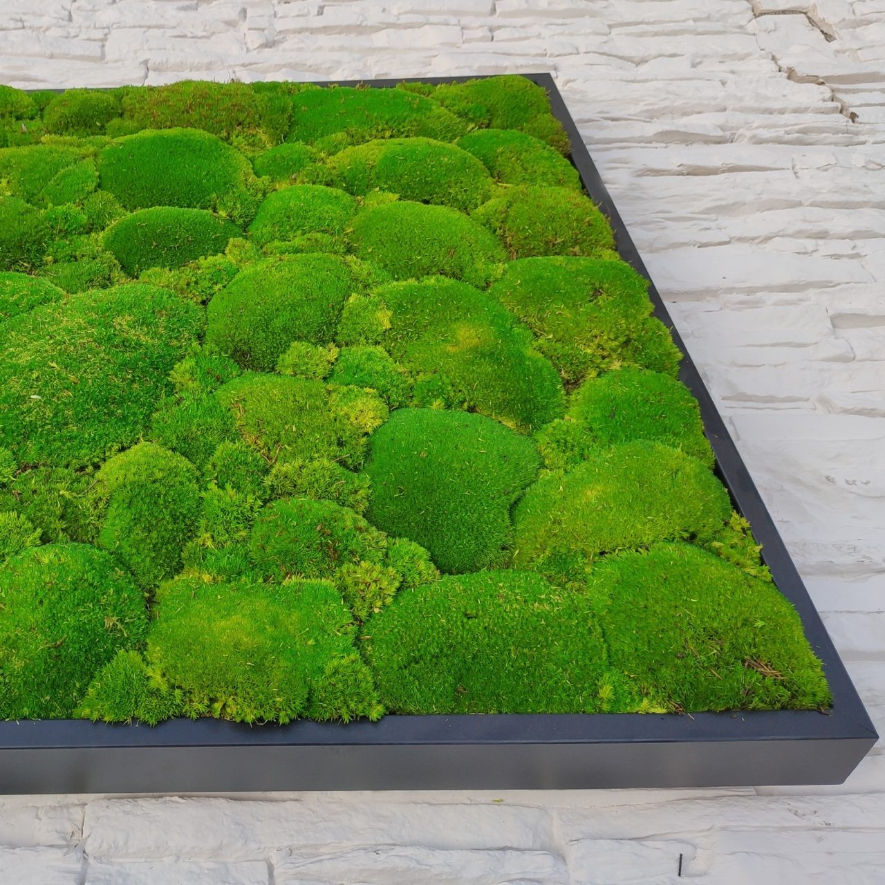 Moosbilder - Moderne Wandgestaltung mit ein Stück Natur