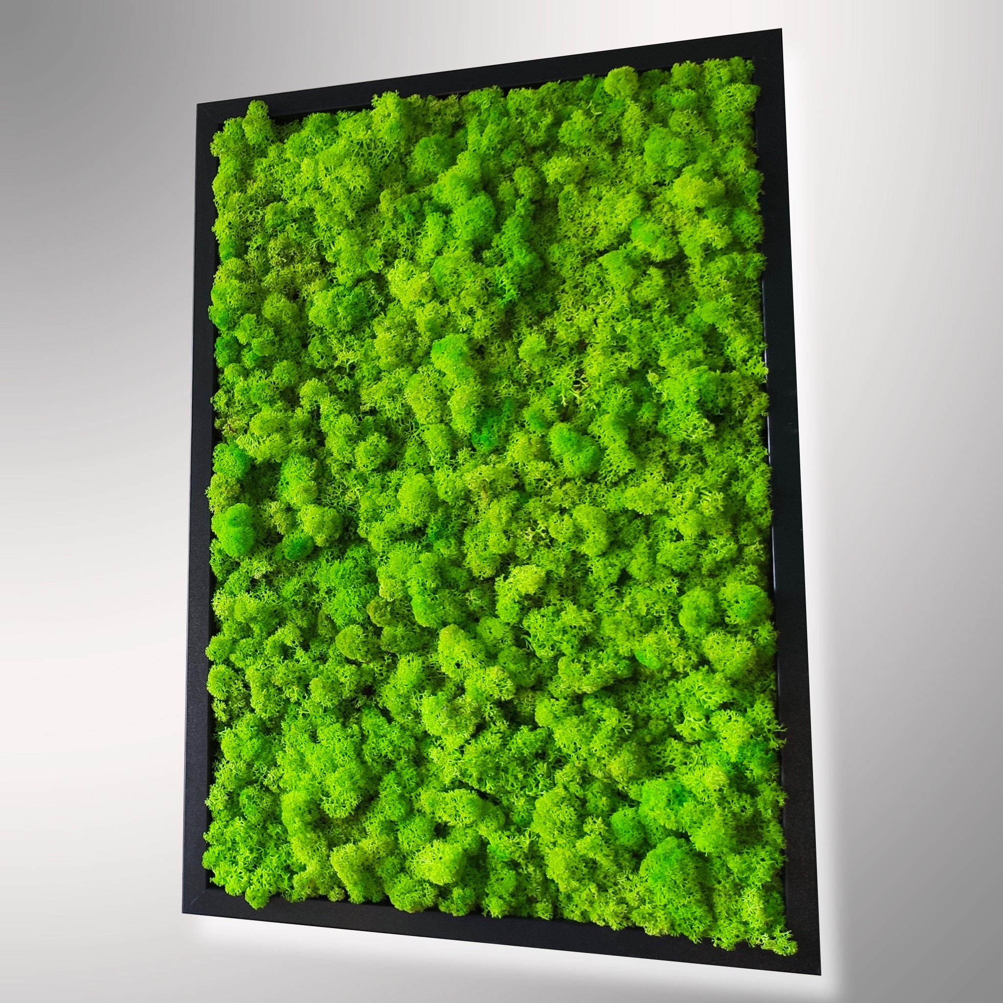 Moosbilder - Moderne Wandgestaltung mit ein Stück Natur